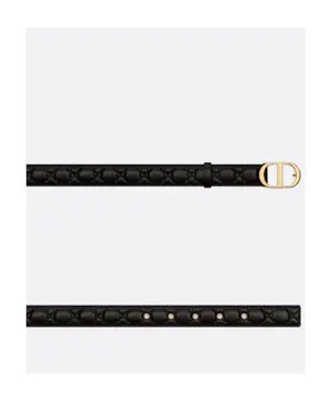 Dior 30montaigne Belt