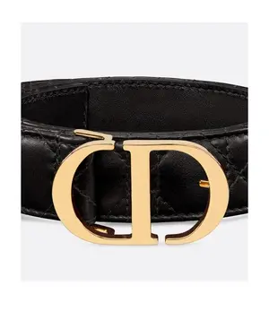 Dior 30montaigne Belt
