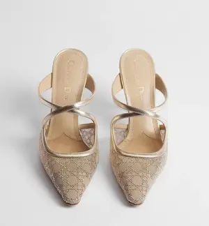 Dior Embellished Mesh Heeled Mule