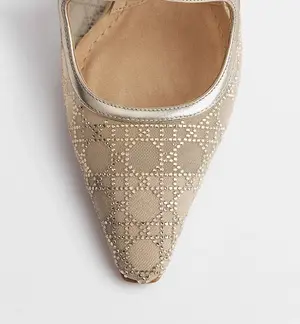 Dior Embellished Mesh Heeled Mule