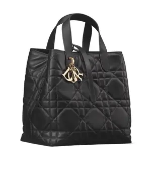 Dior Medium Vertical Tote Bag - Black