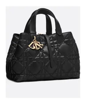 Dior Medium Toujours Bag