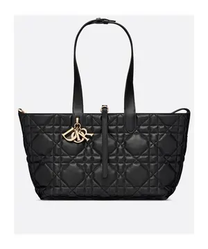 Dior Medium Toujours Bag