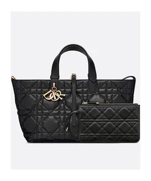 Dior Medium Toujours Bag