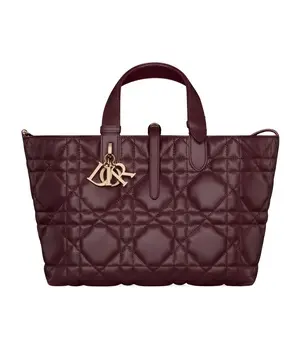 Dior Dior Medium Toujours Bag Plum