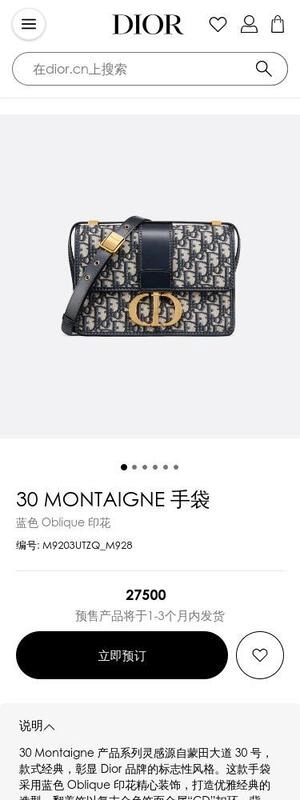 Dior 30 Montaigne Bag