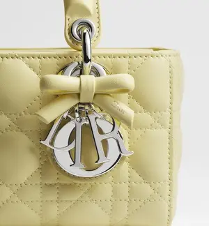 Dior Mini Lady D-joy Bag