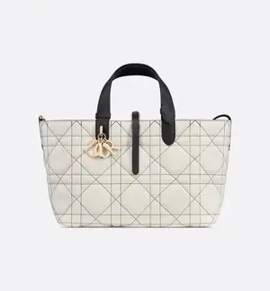 Dior Medium Toujours Bag
