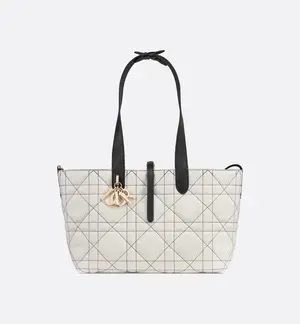 Dior Medium Toujours Bag