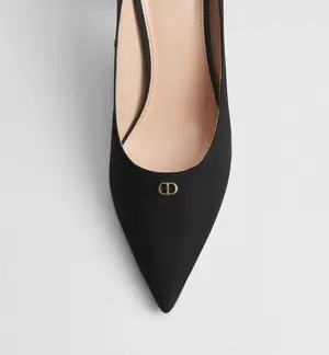 Dior Wing Pumps