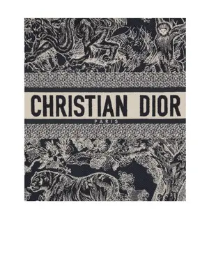 Dior Large Book Tote