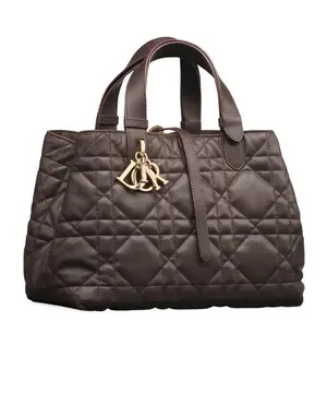 Dior Medium Toujours Bag
