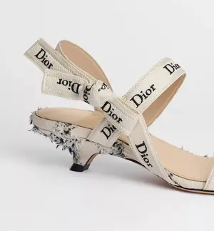 Dior Heeled Sandal With Straps