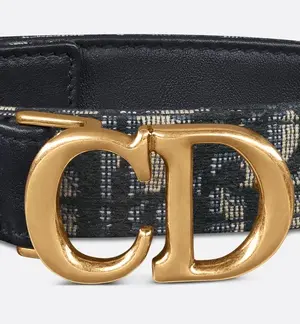 Dior Saddle Belt