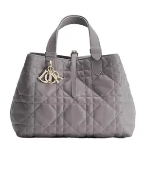 Dior Medium Toujours Bag