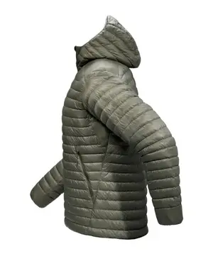 Arc'teryx Cerium Sl Hoody Down Jacket