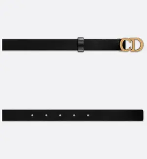 Dior Saddle Belt