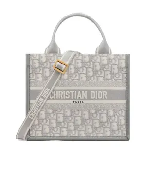 Dior Small Book Tote