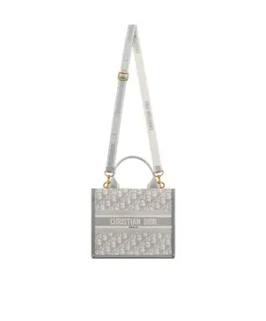 Dior Small Book Tote
