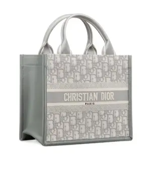 Dior Small Book Tote