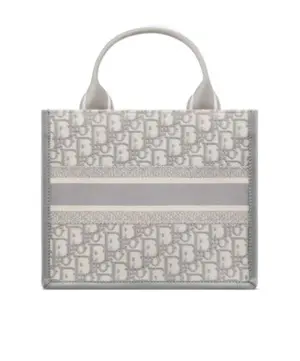 Dior Small Book Tote
