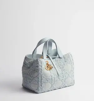 Dior Medium Toujours Bag