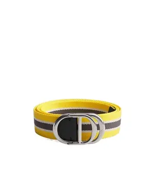 Dior Cd Belt With Tricolor Stripes