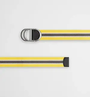Dior Cd Belt With Tricolor Stripes