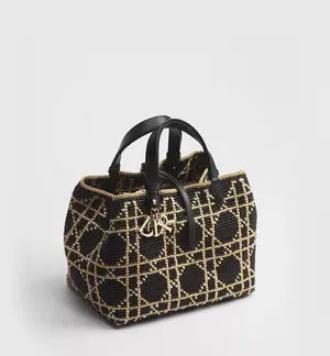 Dior Medium Toujours Bag