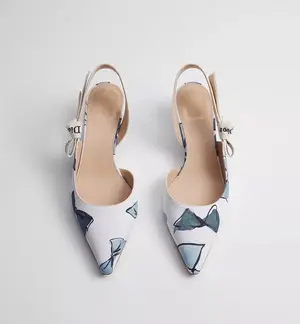 Dior Two-tone Embroidered Slingback Pumps