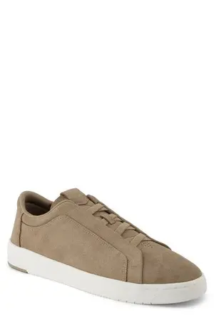 Toms Cushioned Sneakers For Men