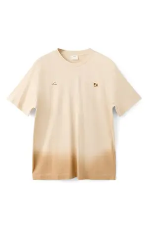 Mango Ombré Crewneck T-shirt