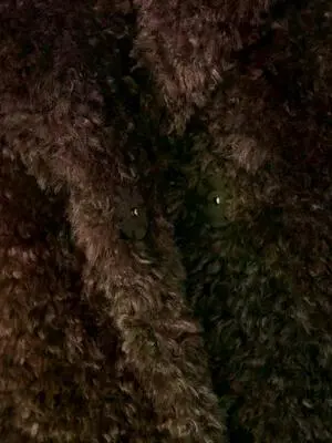 Herno Faux-fur Notch-lapels Coat