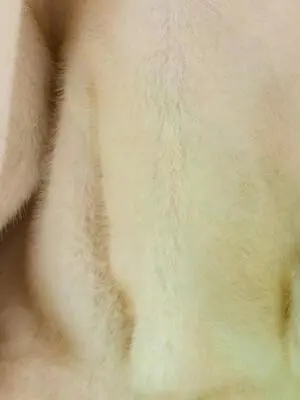 VALENTINI 1972 Faux-fur Zip-up Jacket