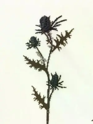 BARRIE Embossed Thistle-motif Scarf