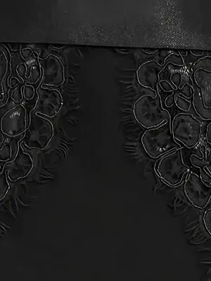 Tadashi Shoji Corwin Lace-panelled Belted Gown