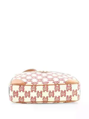Celine Camera Bag Triomphe Canvas Small Crossbody Bag