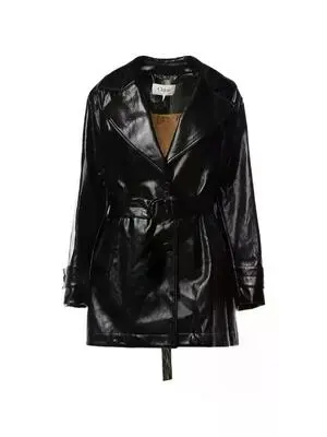 Chloé Belted Button-front Jacket