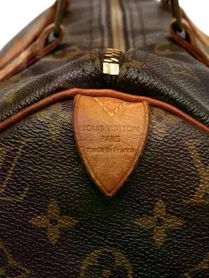 LOUIS VUITTON 2010 Monogram Speedy 30 Boston Bag