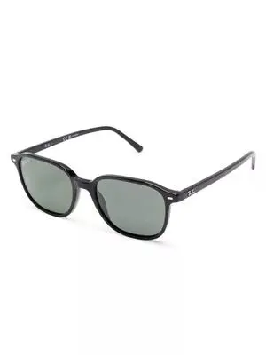 Ray-ban Leonard Sunglasses