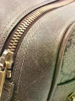 Gucci 2000-2015 Gg Supreme Ophidia Crossbody Bag