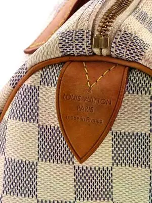 LOUIS VUITTON Speedy Handbag Damier Satchel - White