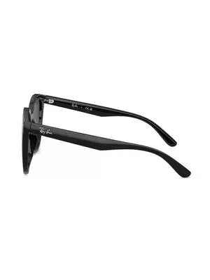 Ray-ban Rb4423d Sunglasses