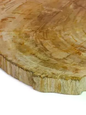 CU I SEEYOU Petrified Wood Platter