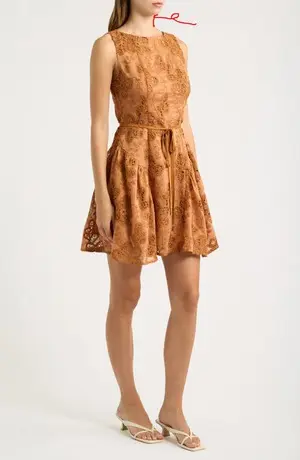 Moon River Embroidered Sleeveless Minidress