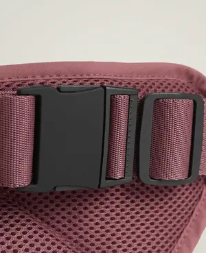 Stella McCartney Adidas Belt Bag