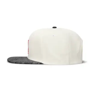 JORDAN Pro Structured Baseball Cap