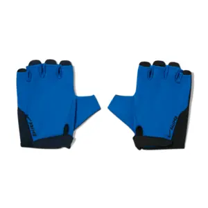 Nike Skims 2.0 Training Gloves