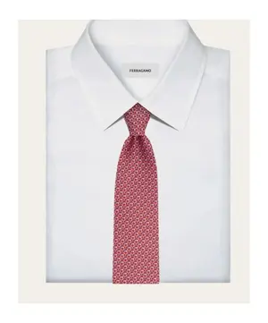 FERRAGAMO Silk Neck Tie