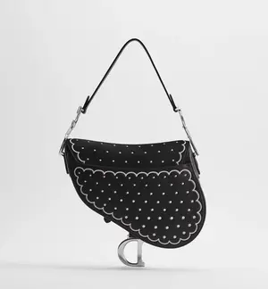 Dior Saddle Bag With Strap